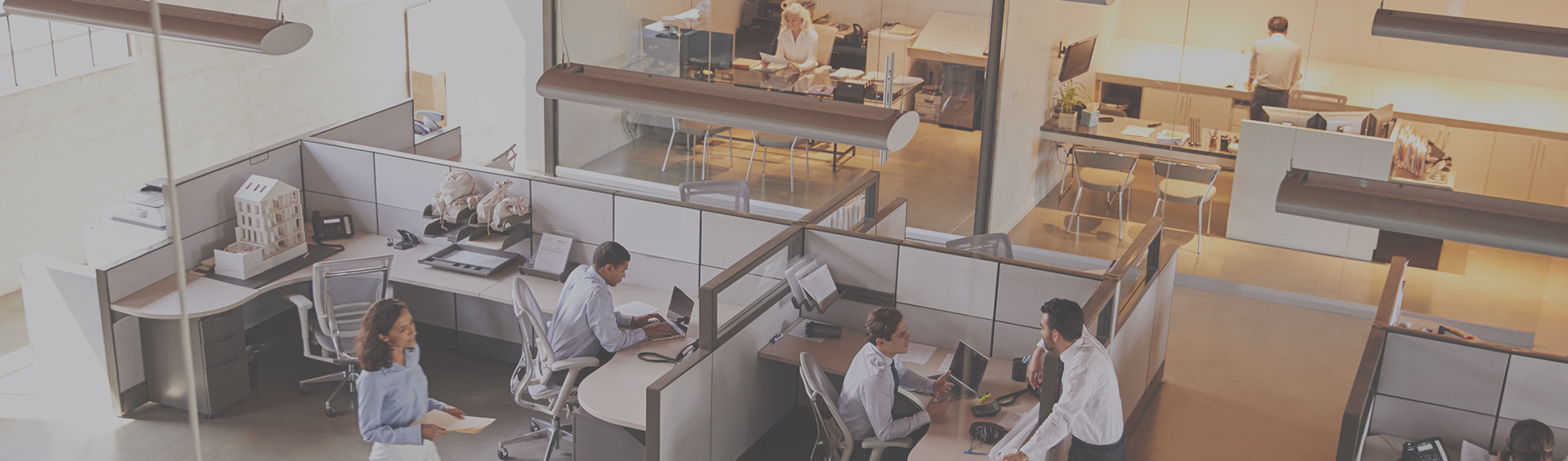 People | Employee Relations + Training